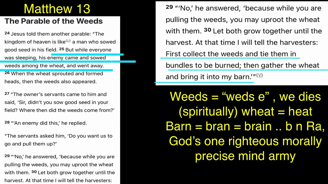 The weeds vs the Morally Mighty offspring of God 428 - YouTube