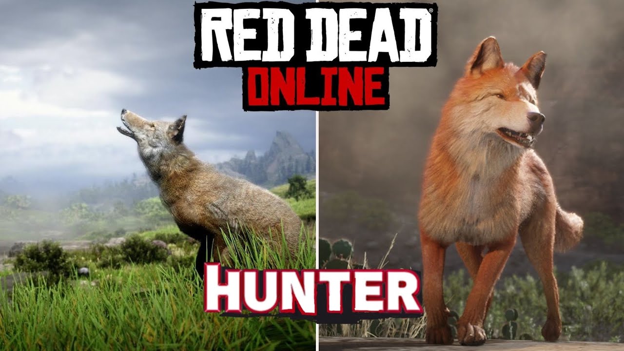 Red Dead Redemption 2: Hunting The Legendary Coyote Animal And Location ...