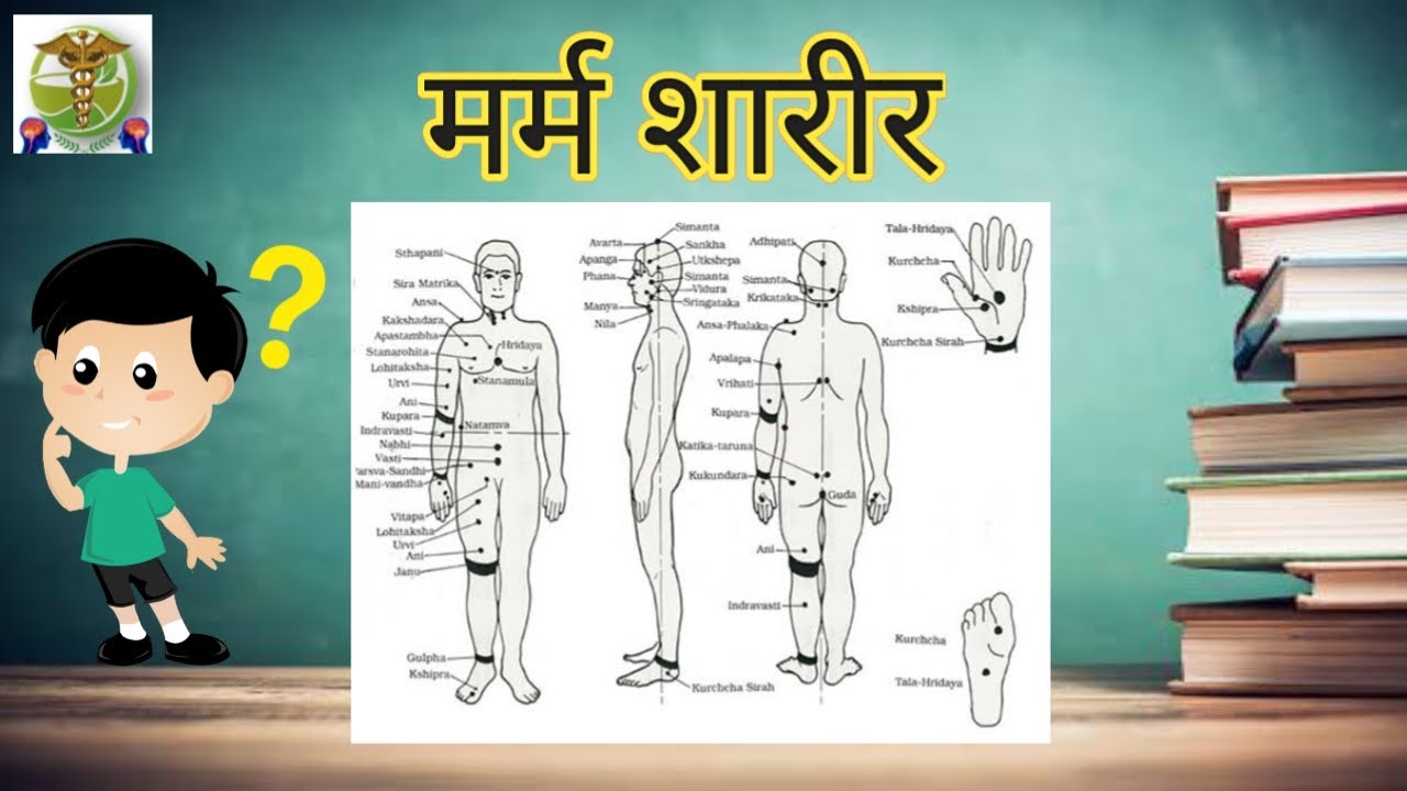 मर्म शारीर l Classification of marma - YouTube