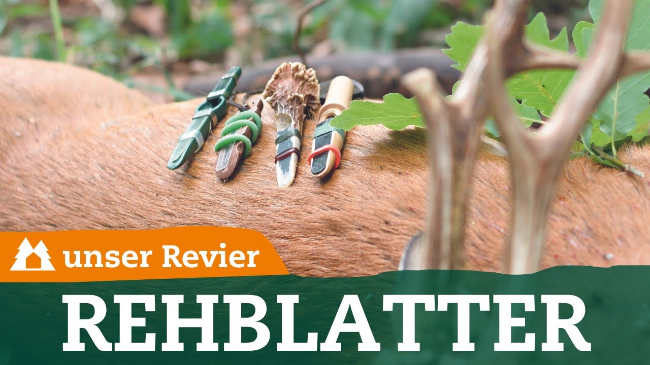 Welcher Rehwild-Blatter bringt den jagdlichen Erfolg? Hier unsere TOP-5 ...