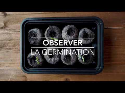 Tomatosphère — Réaliser une enquête sur les semences - YouTube