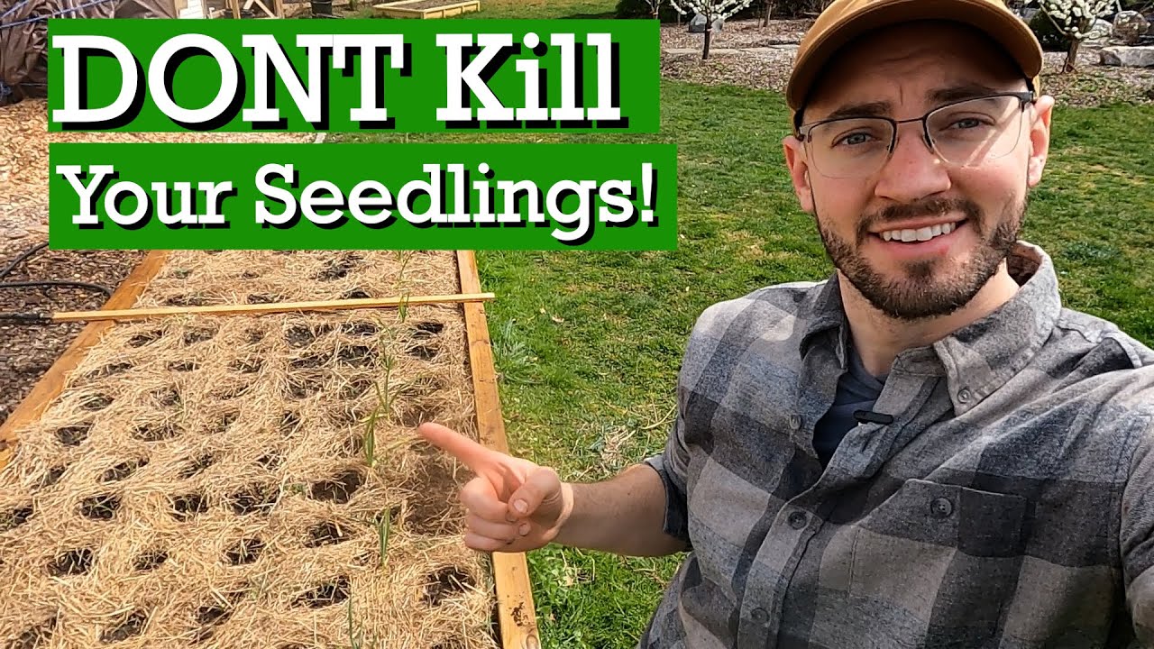 Key to Planting a SUCCESSFUL SPRING Garden - YouTube