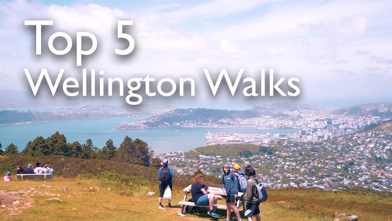 top 5 wellington walks to do this summer - YouTube