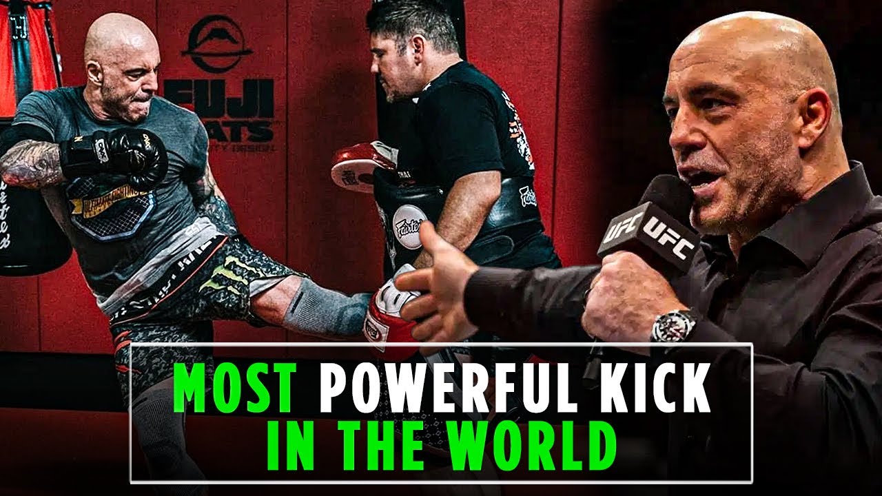 Can Joe Rogan REALLY Fight? - UFC - YouTube
