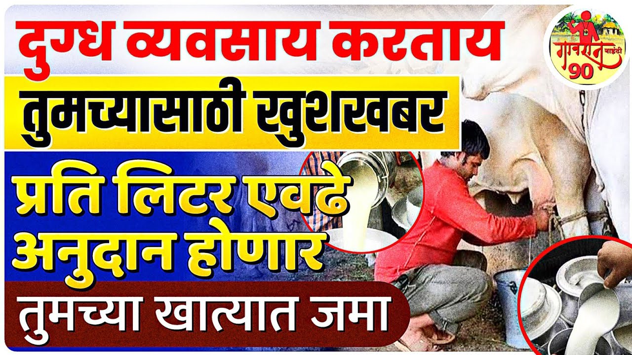 Dairy Farm Business : दुग्ध व्यवसायिकाच्या खात्यात जमा होणार प्रति लिटर ...
