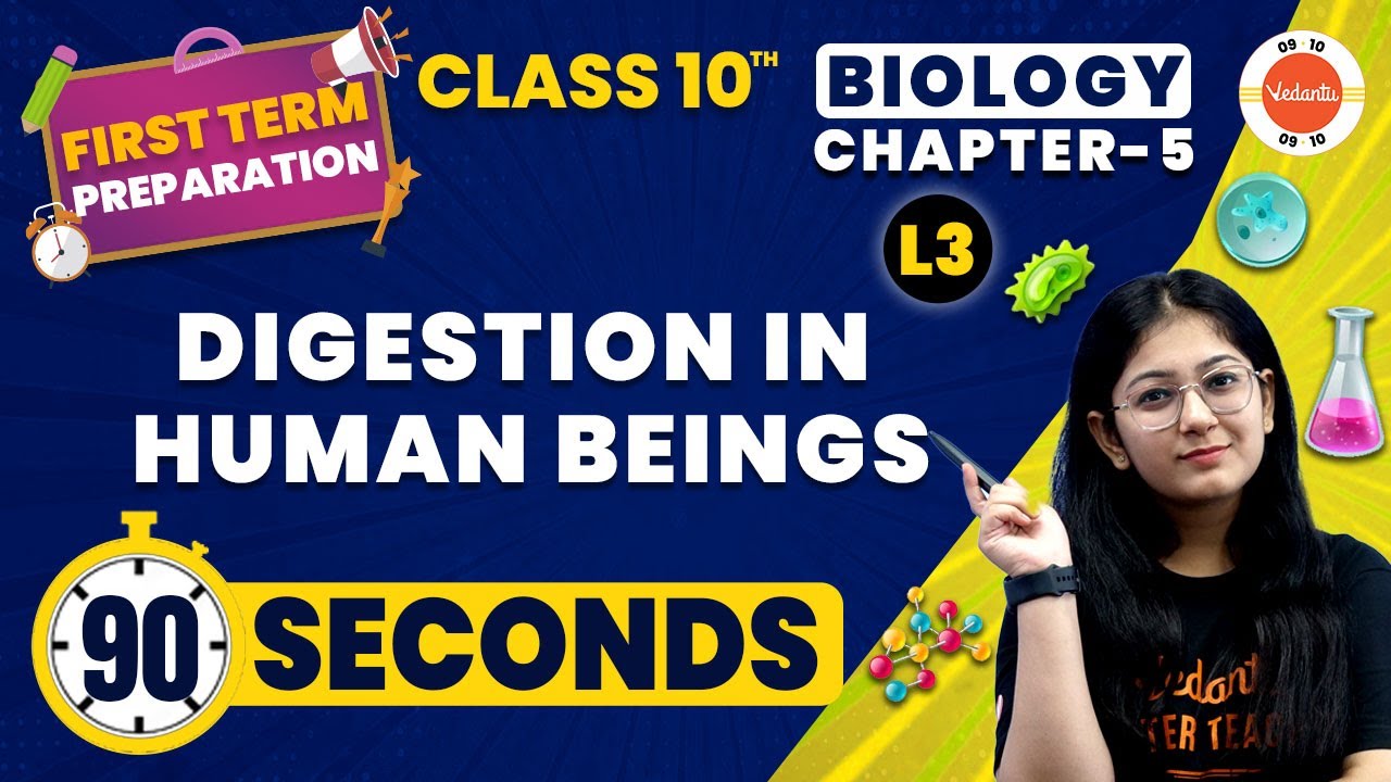 Digestion in Human Beings | Life Processes Class 10 | CBSE Class 10 ...