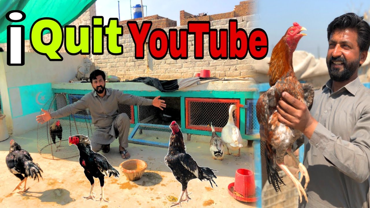Why I Quit YOUTUBE - YouTube