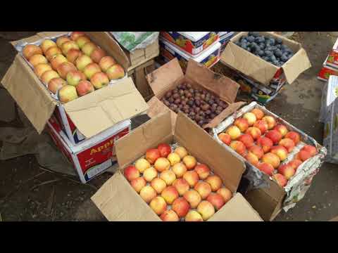 Quetta Fruit Market for business - YouTube
