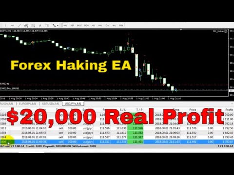 Forex Haking EA $20,000 Real Profit - Free Download Available - YouTube
