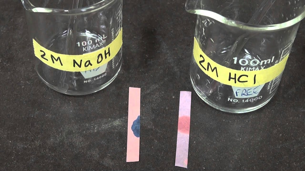 Litmus Paper YouTube litmus-paper-youtube