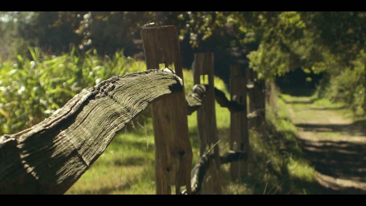 Cinematic nature shots | BMPCC original (OG) - without sound or music ...