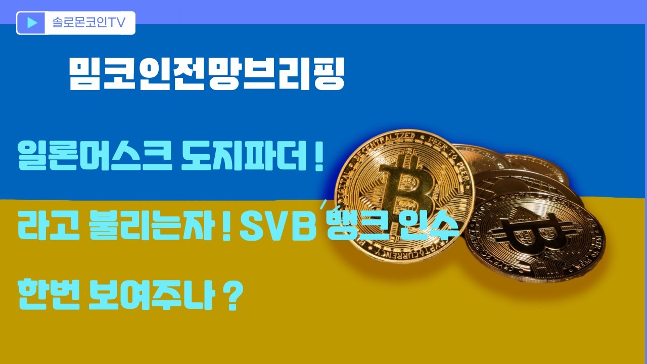밈코인전망 일론머스크 도지파더 라 불리우는자 이제 Svb뱅크 노리면서 세계 최대 금융기관 설립 노린다 우리한텐 더 없는