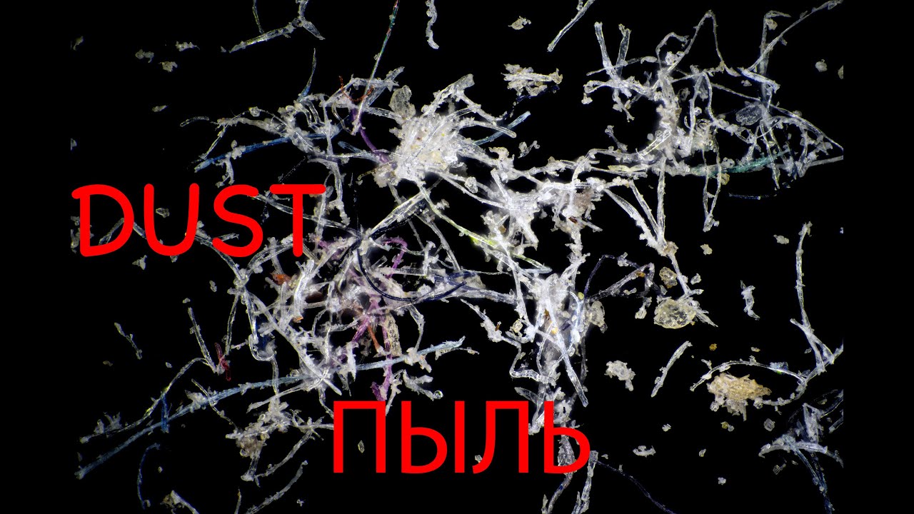 Dust under microscope - YouTube