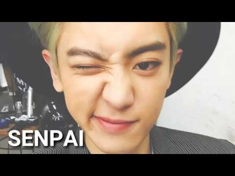 senpai | chanyeol