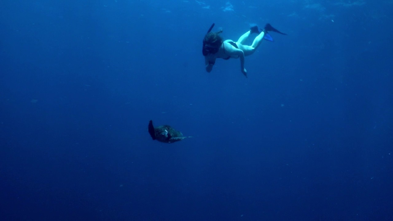 Underwater playground - YouTube