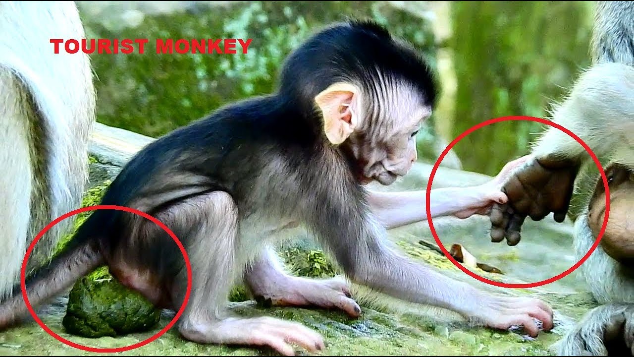 OMG Newborn Janna drag Janet's hand until like this, Haha look so funny ...