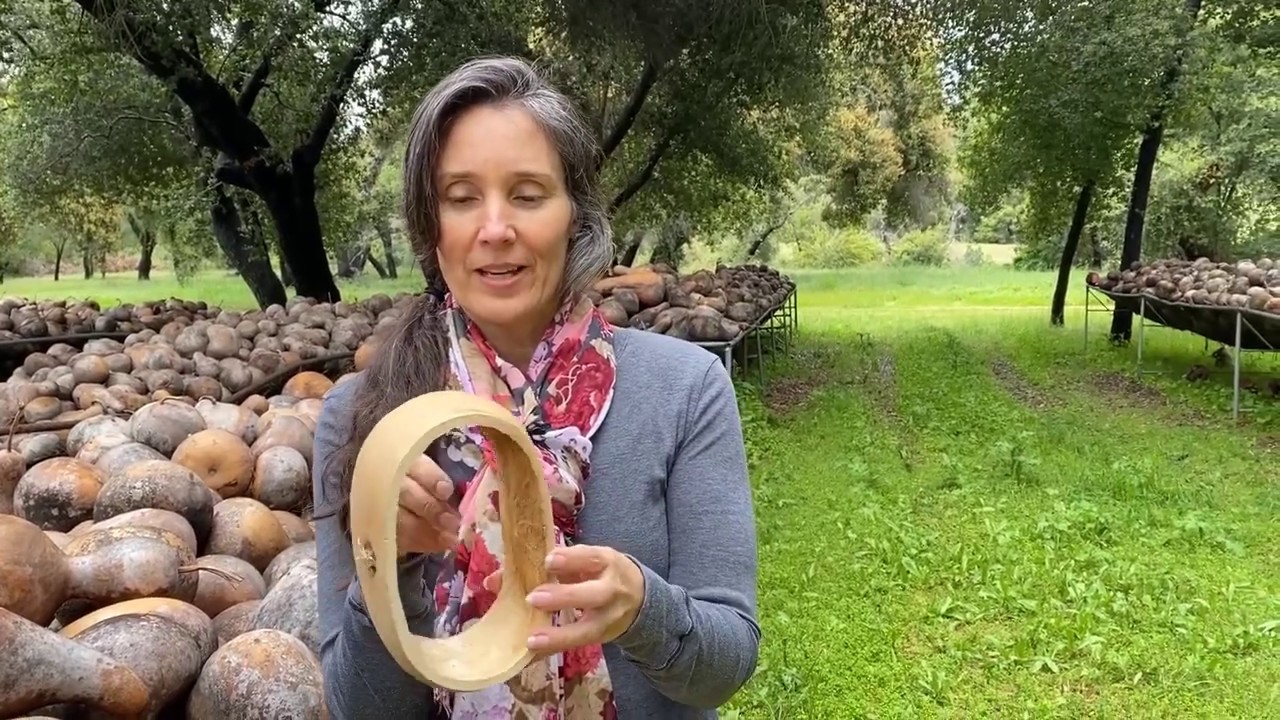 Welburn Gourd Farm Updates for April 8, 2020 - YouTube