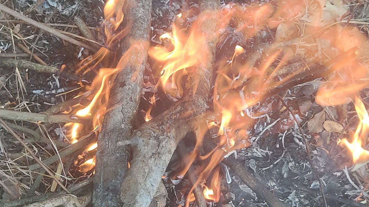 peppar की शैतानी #traditional pahadi vlog,pushpa bisht wadda ...
