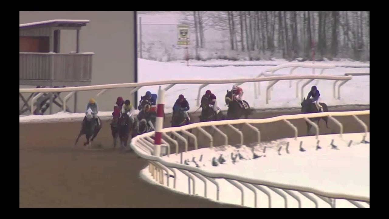 Lopp 6, 10 Jan 2016 - YouTube