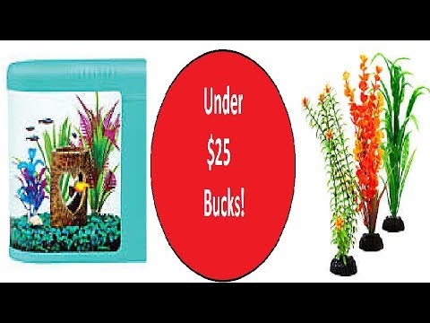 PETSMART Fish/Betta Tank🐟And Decorations UNDER $25! (Store Bought ...
