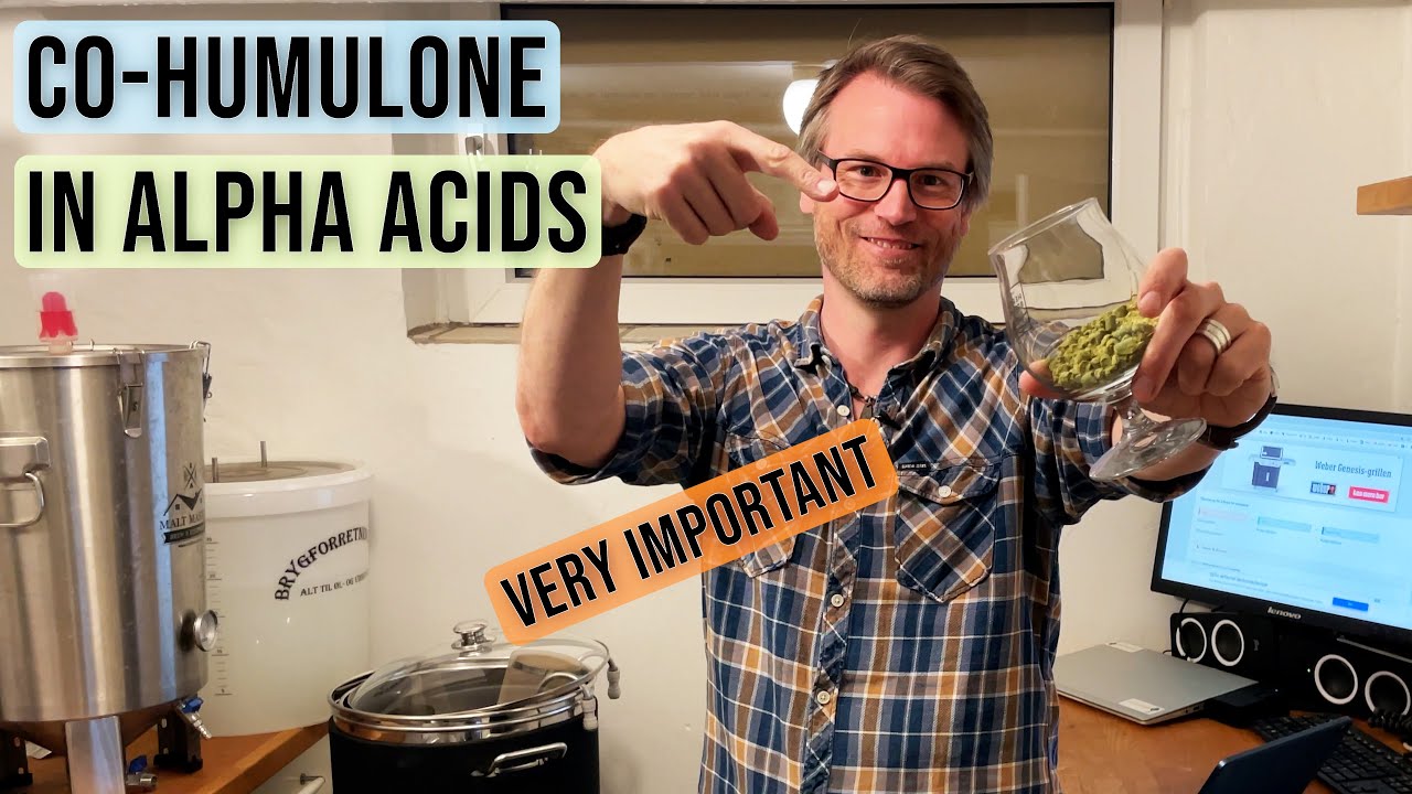 Bittering Hops 101: Why Co-humulone and Alpha Acids in Bittering Hops ...