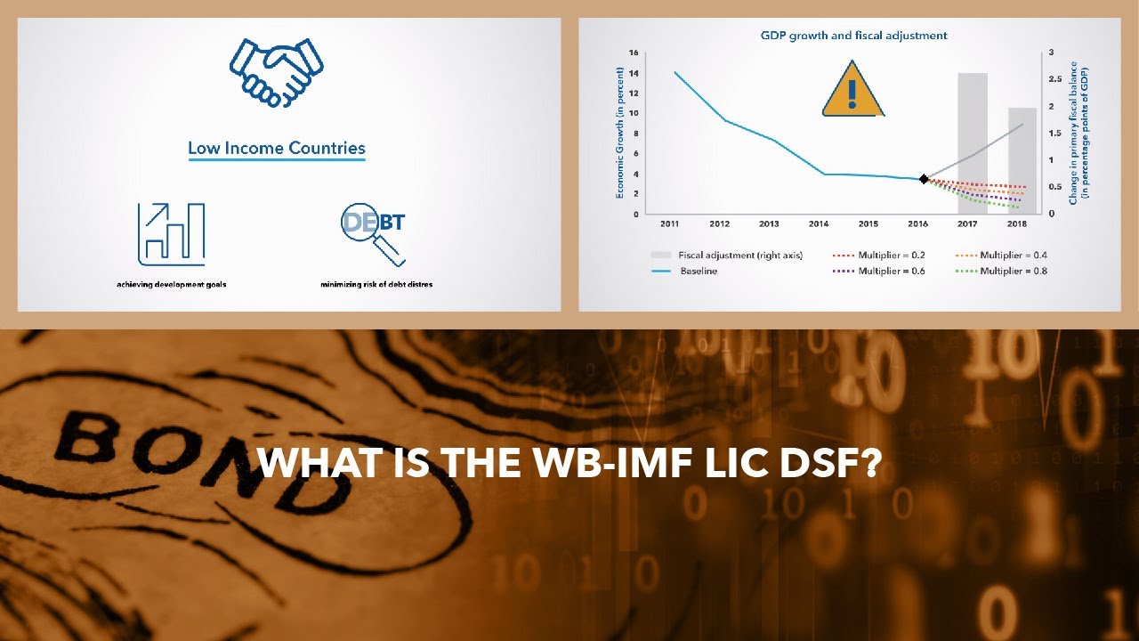 What is the WB-IMF LIC DSF? - YouTube