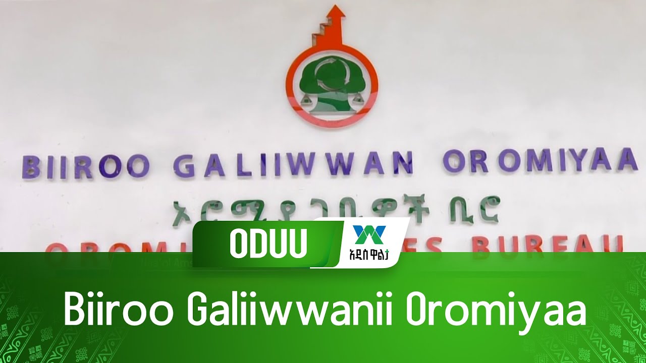 Biiroo Galiiwwanii Oromiyaa - YouTube