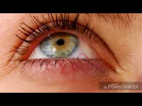 Haklısın yar sen haklısın gelmemekte sen haklısın