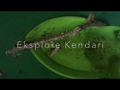 Adegan Film Panas dari Kendari