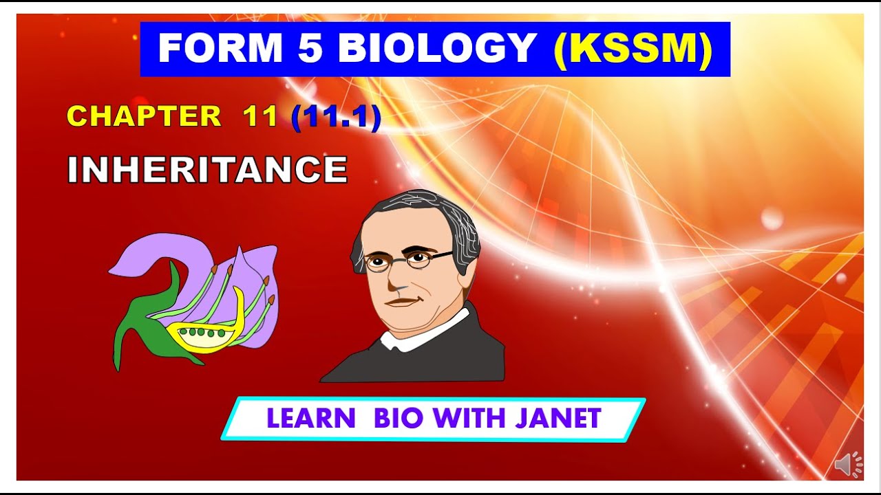 Biology Form 5 (KSSM) Chapter 11 INHERITANCE 11.1 part I - YouTube