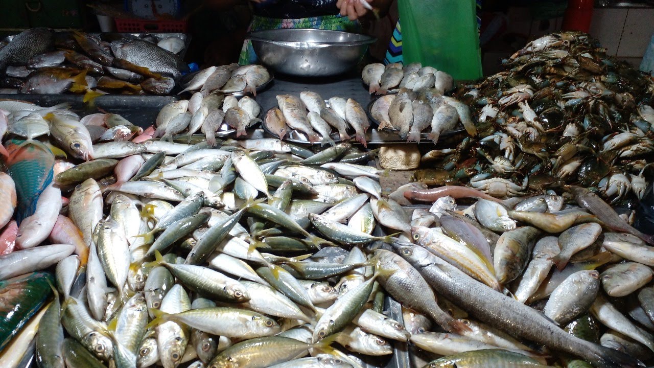 sagingan at isdaan 14 + random videos na din - YouTube