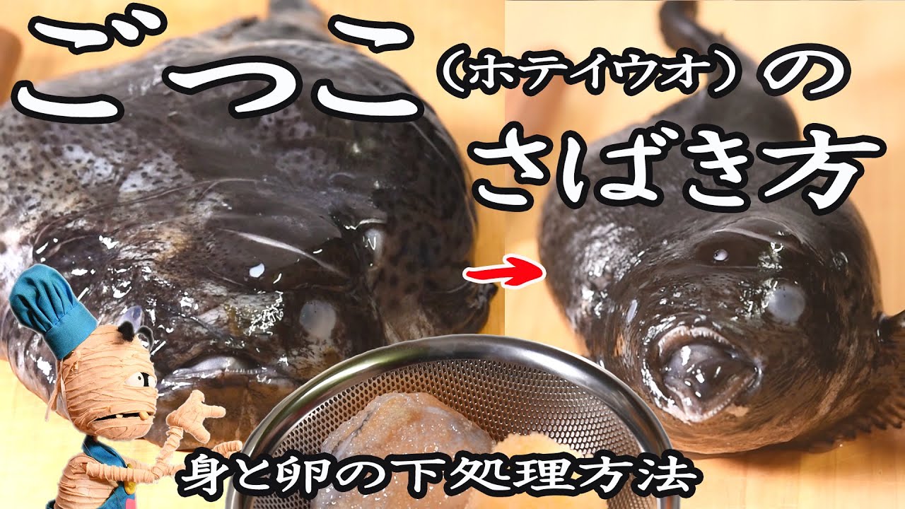 [解説付き]【冬が旬の旨い珍魚】ごっこ「布袋魚(ホテイウオ)」のさばき方と卵の下処理 How to prepare Smooth ...