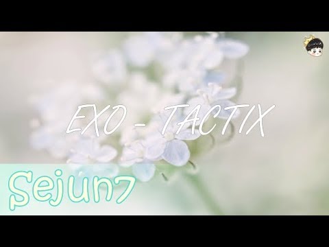 EXO - TACTIX (SUB ESP)