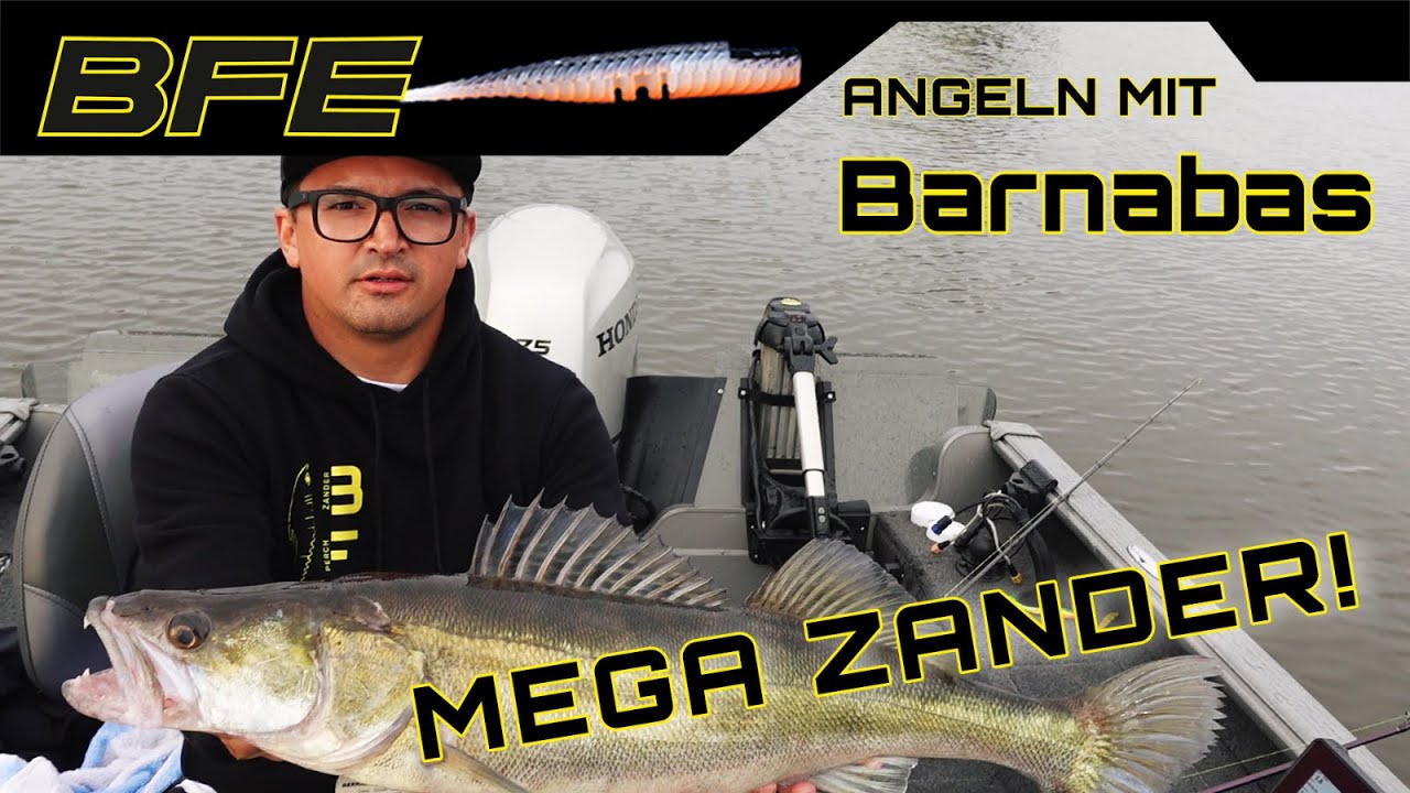 BFE - Monster-Zander auf BFE Köder | pelagisch angeln - YouTube