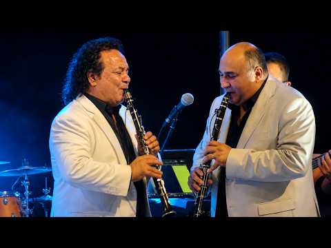 Vasilis Saleas & Stavros Pazarentsis \