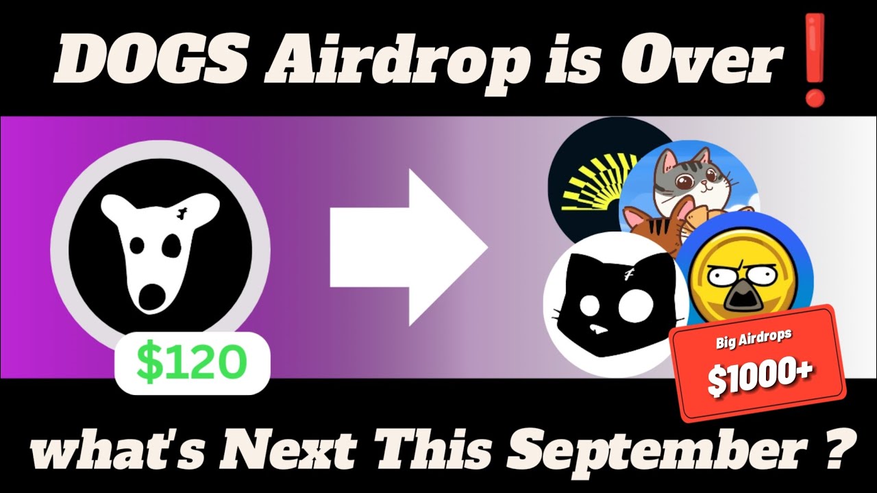 DOGS Airdrop is Over: What's Next? September Airdrop & Listing Updates ...