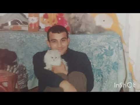 Perviz Beylaqanli Revayet 2020