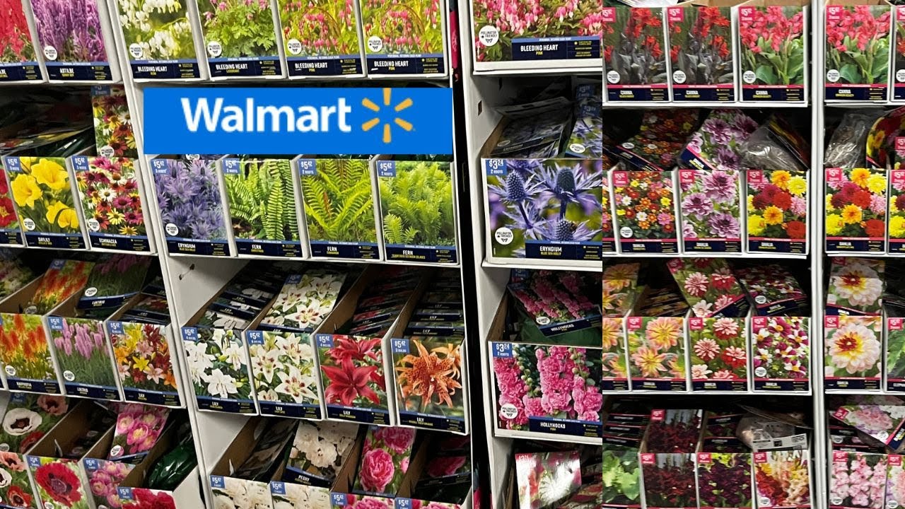 NEW Shop with me for SUMMER BLOOMING Bulbs at another Walmart Garden ...