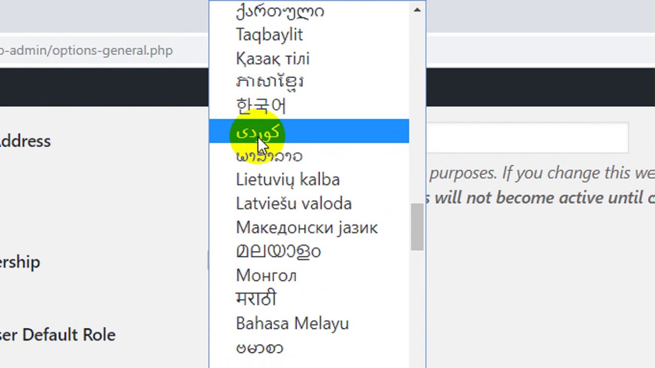 Wordpress in Kurdish Language - YouTube