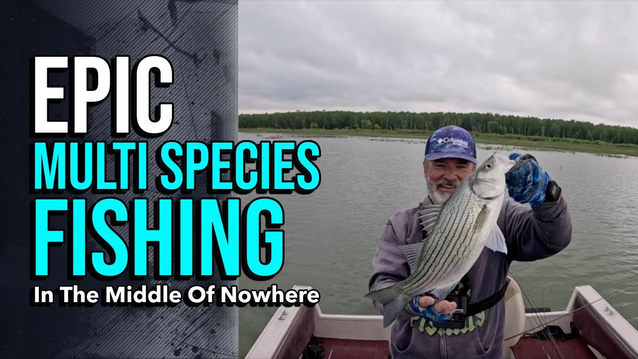 Epic Multi Species Fishing In The Middle Of Nowhere - YouTube