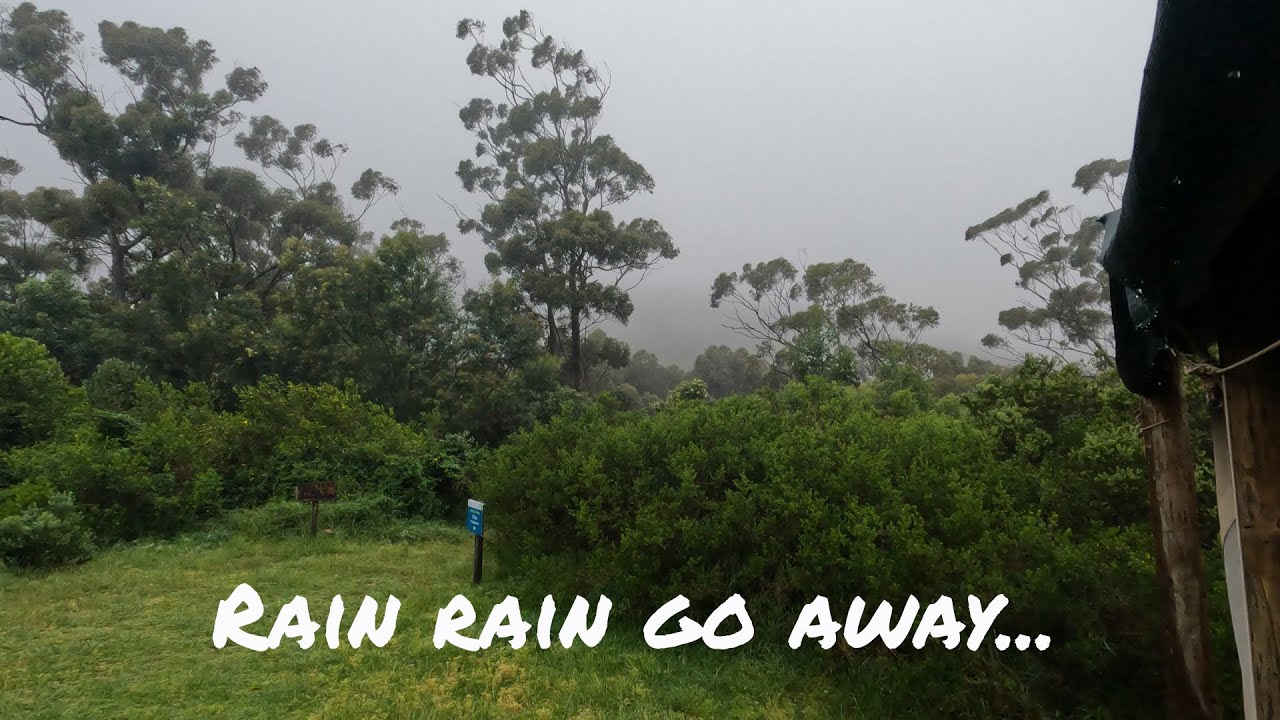 Introduction to the whale trail from a rainy Potberg hut - YouTube