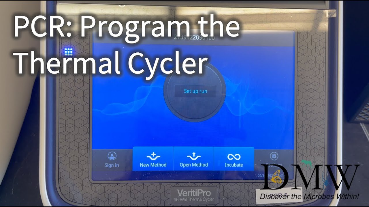 PCR: Program the Thermal Cycler - YouTube