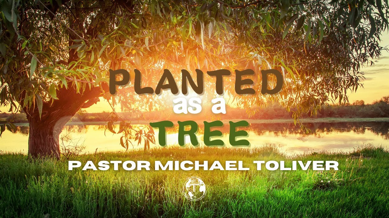 12 04 22 Planted As A Tree Pastor Toliver - YouTube