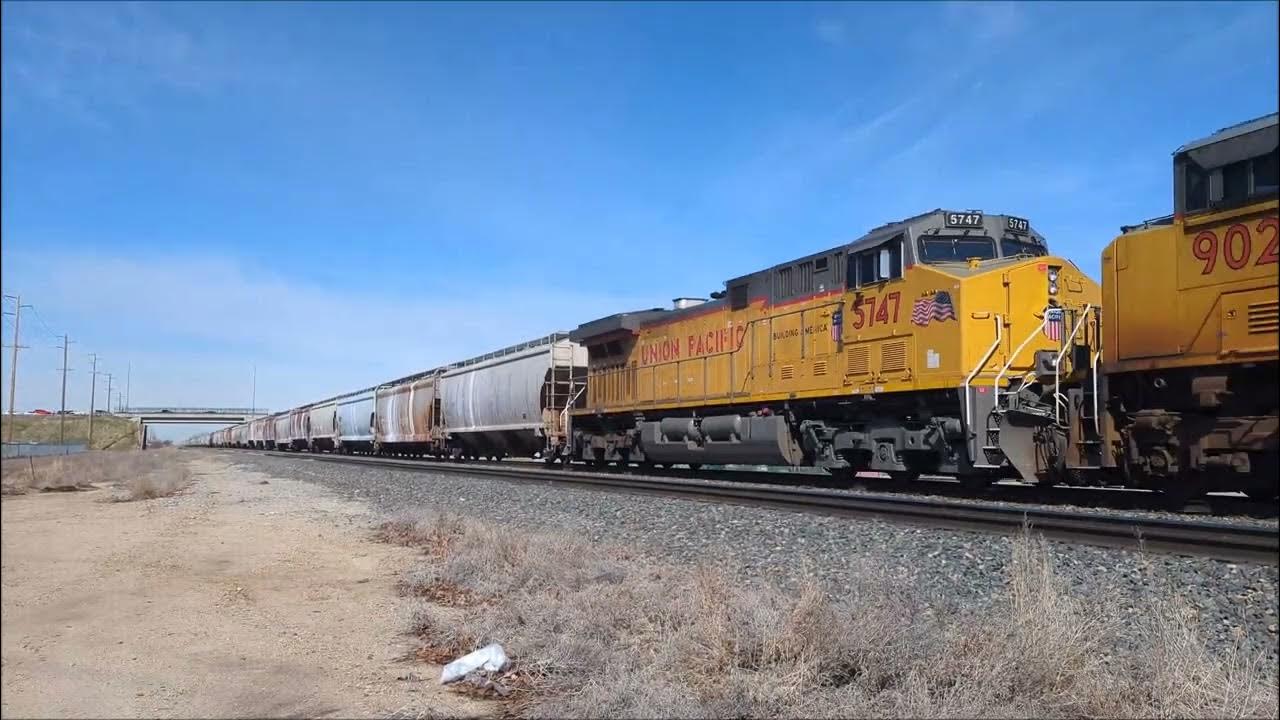 Railfanning 3/8/2025: Six Hour Late ZG2BR - YouTube