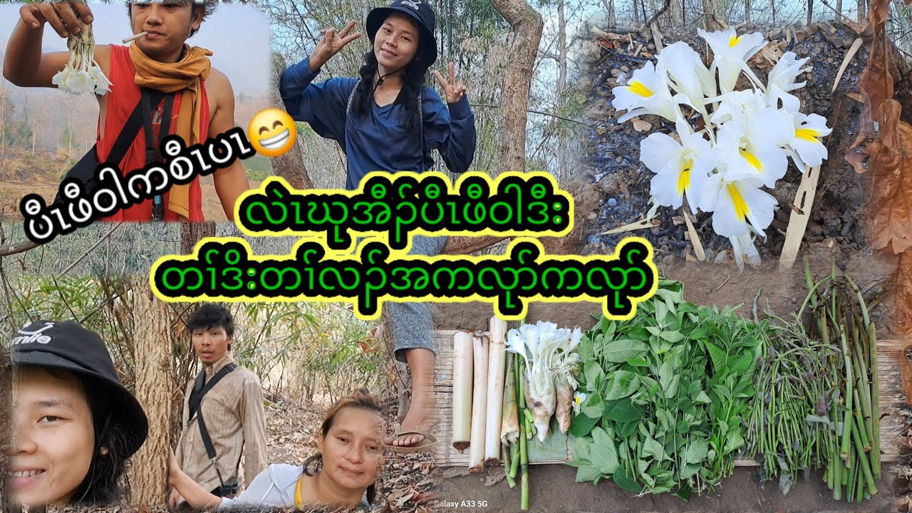 Let's go find paw paw wah 🍀🌿 - YouTube