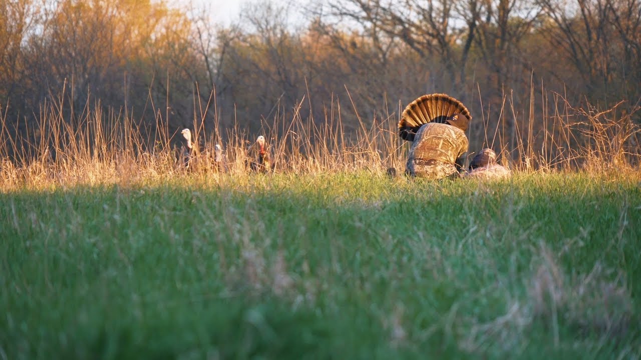 Turkey Reaping (Quick Kill) - YouTube