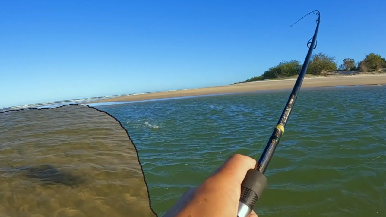 How To Catch A Flathead (And Cook) Plus a Cheeky Shark Encounter. #8 ...
