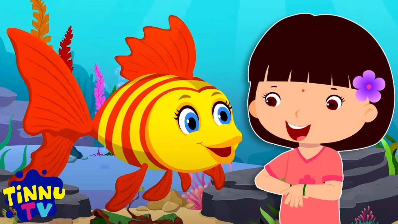 Machli Rani, मछली रानी, Hindi Nursery Rhymes and Children Songs - YouTube