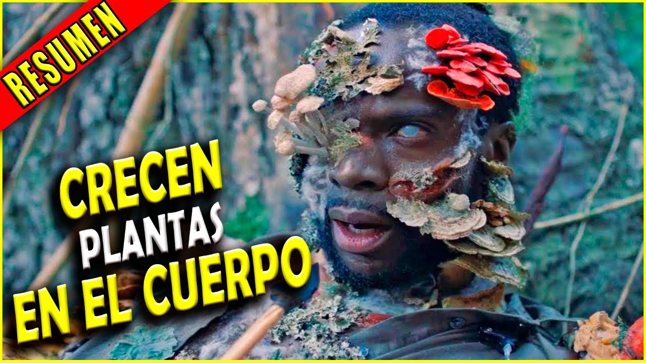 👉 resumen: EN LA SELVA, LAS PLANTAS CRECEN EN LOS CUERPOS HUMANOS ...
