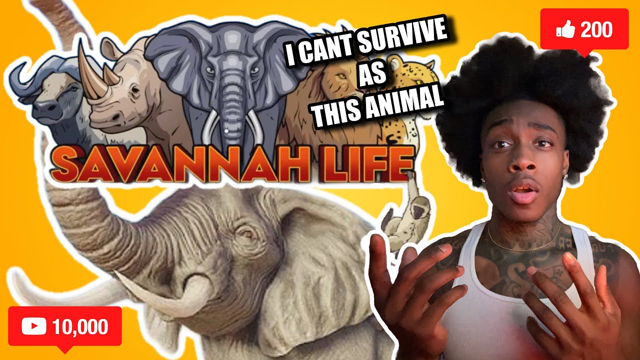 Pt1 HOW DO THESE ANIMALS SURVIVE!!!SAVANNAH LIFE ROBLOX - YouTube